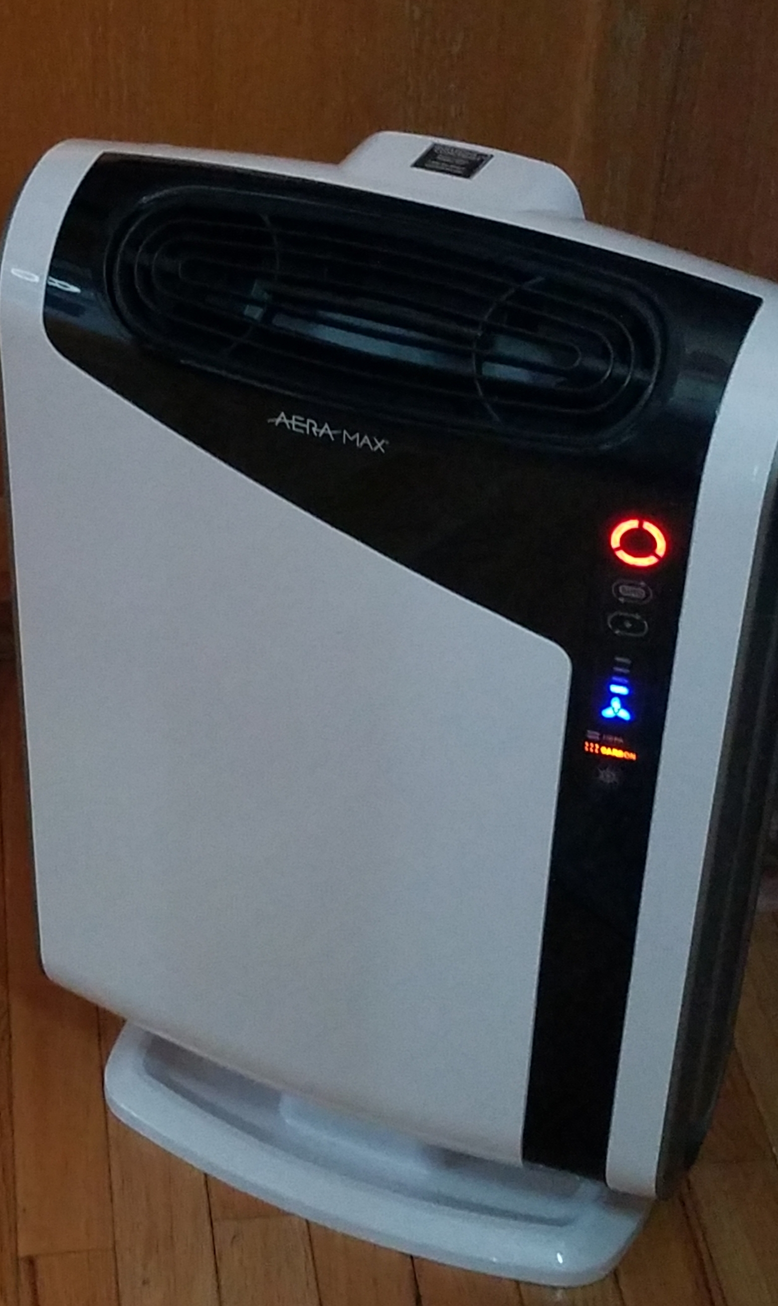 Understanding MCAS and How I Am Coping – thepileofstickshome